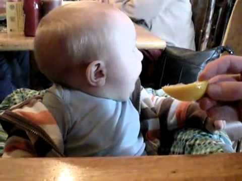 Babies Eating Lemons for First Time Compilation 2014 New HD