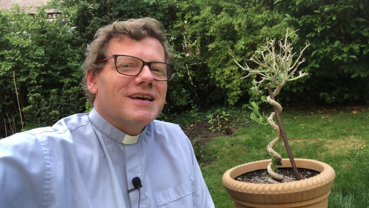 Staff Reflection - Patience - YouTube