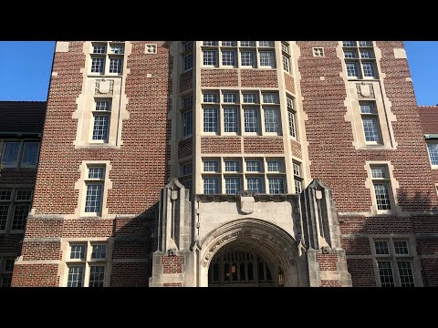 2TallChambers - School Of Fakes 