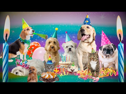 çılgın doğum günü şarkısı | dans müziği electronic music EDM | 2025 yeni | doğum günün kutlu olsun