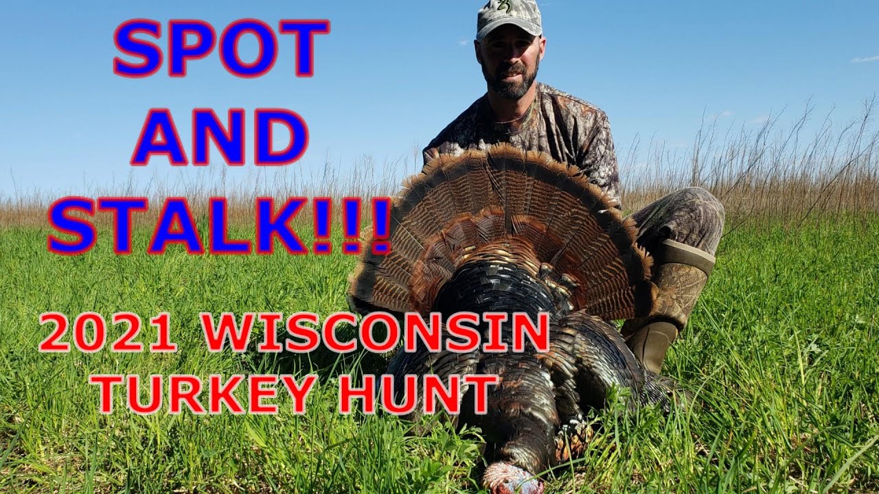 2021 WISCONSIN TURKEY HUNT|STALKED WITHIN 10 YARDS! - YouTube