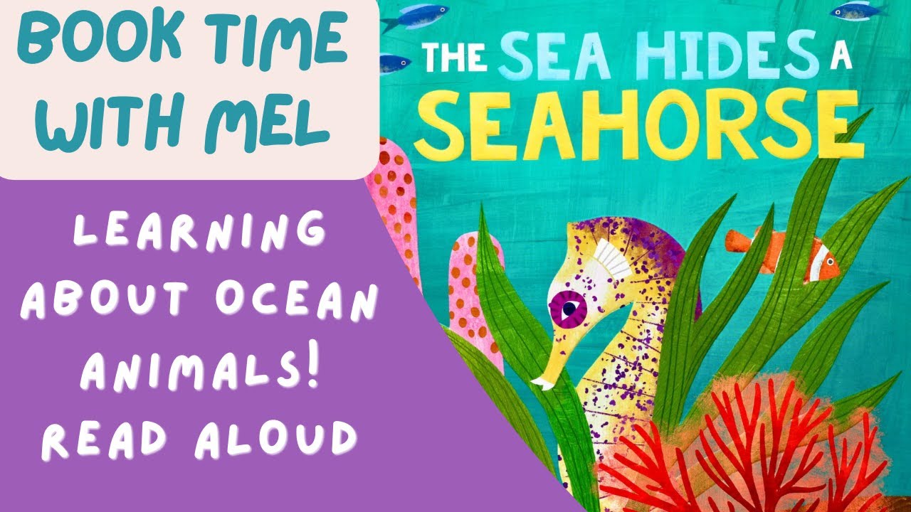The Sea Hides A Seahorse ~Read Aloud~ - YouTube