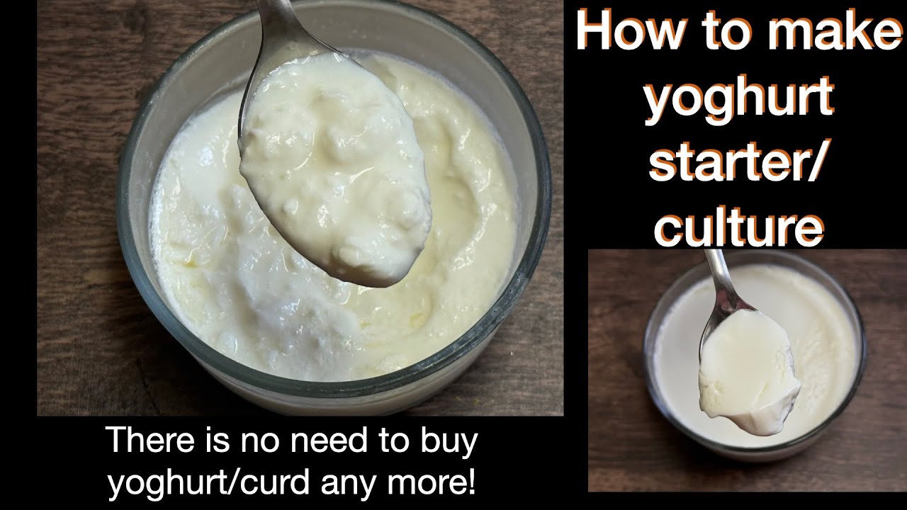 How to make Yoghurt Starter / Curd Starter / Culture at home? - YouTube