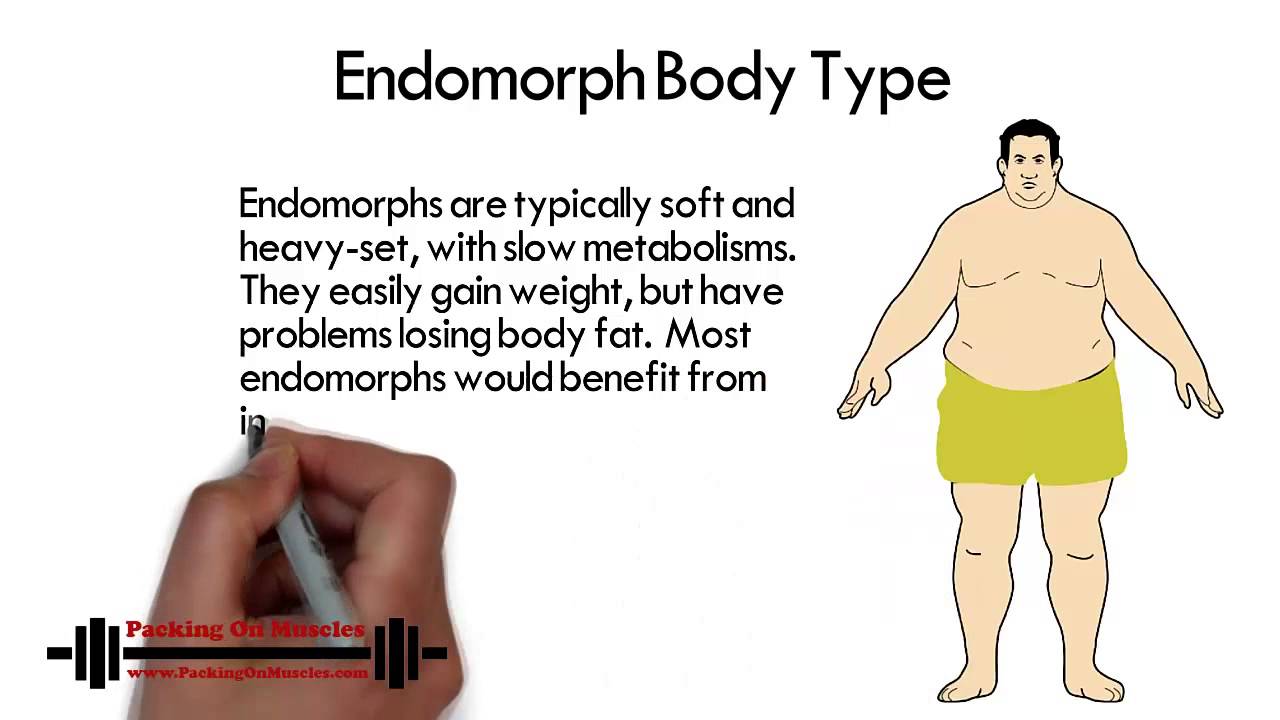 Endomorph Body Type - YouTube