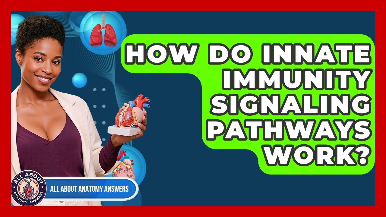 How Do Innate Immunity Signaling Pathways Work? - All About Anatomy ...