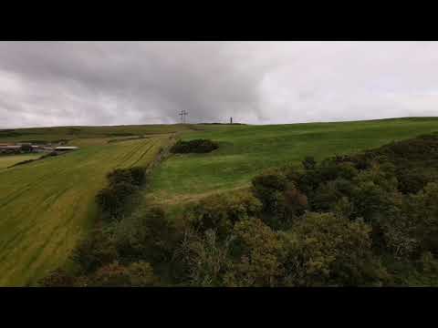 Kinglassie at Speed 15 /7 /20