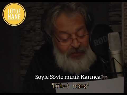 Payidar tüfekçioğlu karınca