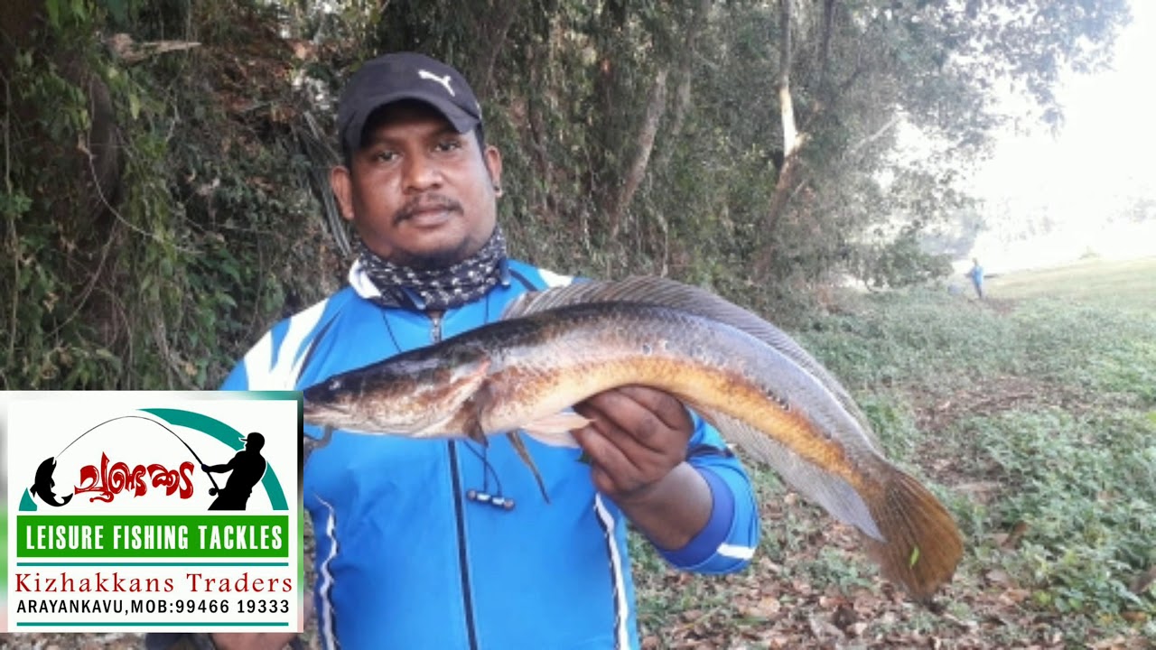 Bastar result Lucana frog വാഹ വരാൻ നിങ്ങളെ തേടിവരും - YouTube