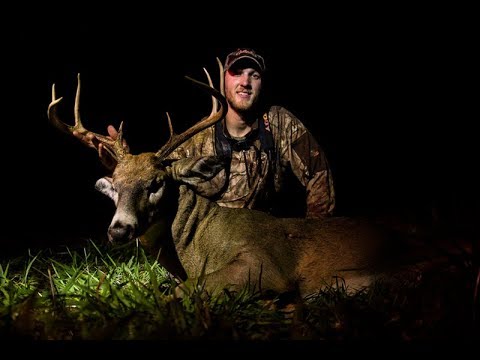 Public Land Bowhunting Whitetail Deer - Big Buck in Wisconsin - High ...