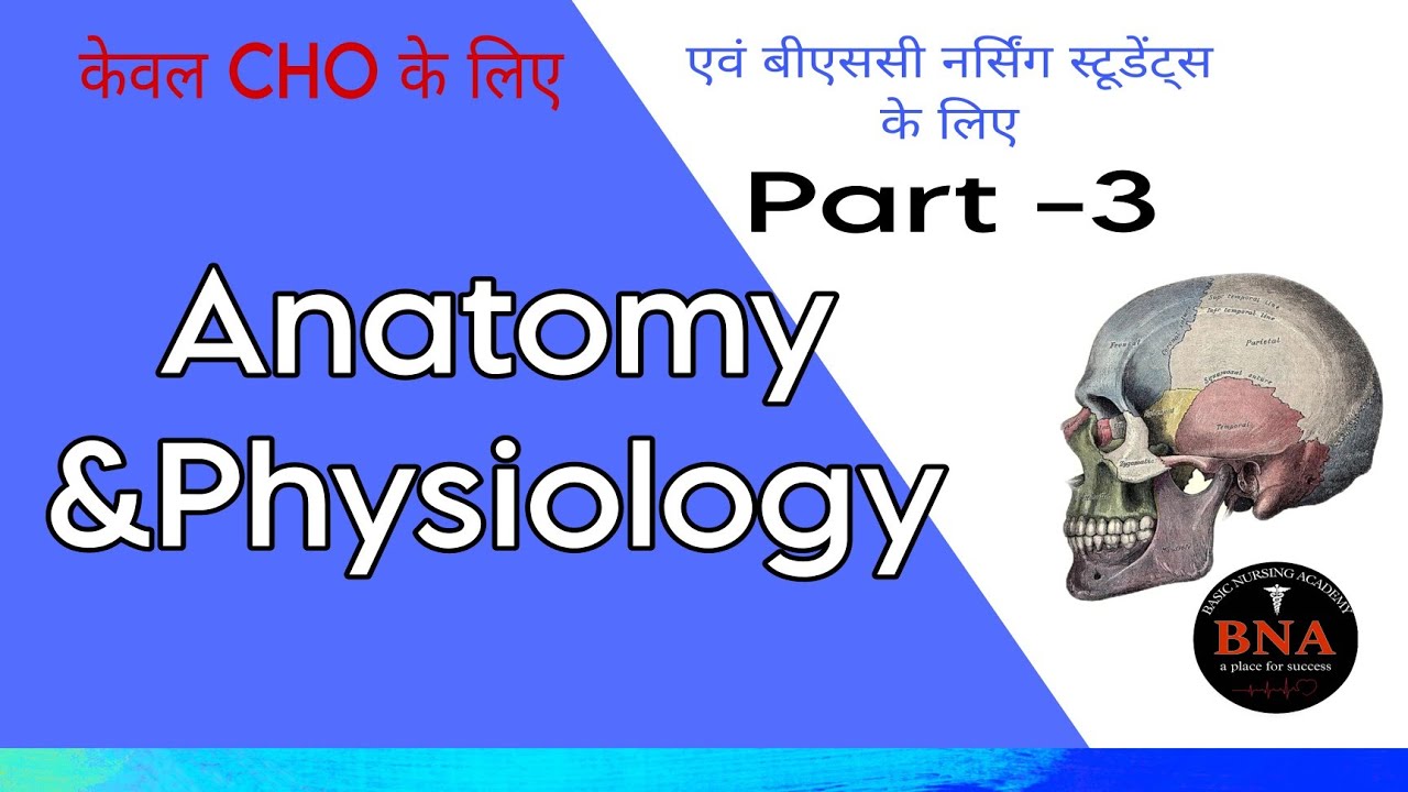 CHO, Anatomy physiology mcq part 3@ basicnursingacademy@gmail.com - YouTube