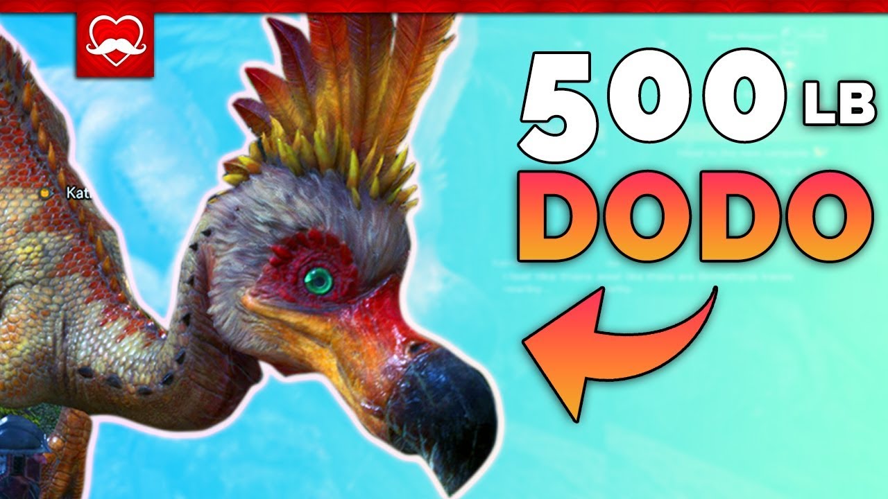 IS THIS THE WORLD'S BIGGEST DODO? - YouTube