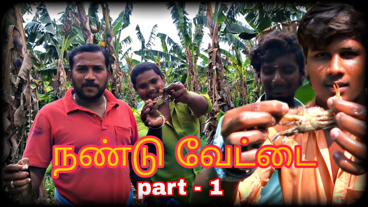 வாழை நண்டு வேட்டை | sunday crap hunting with sunaipugalnallur boys | # ...