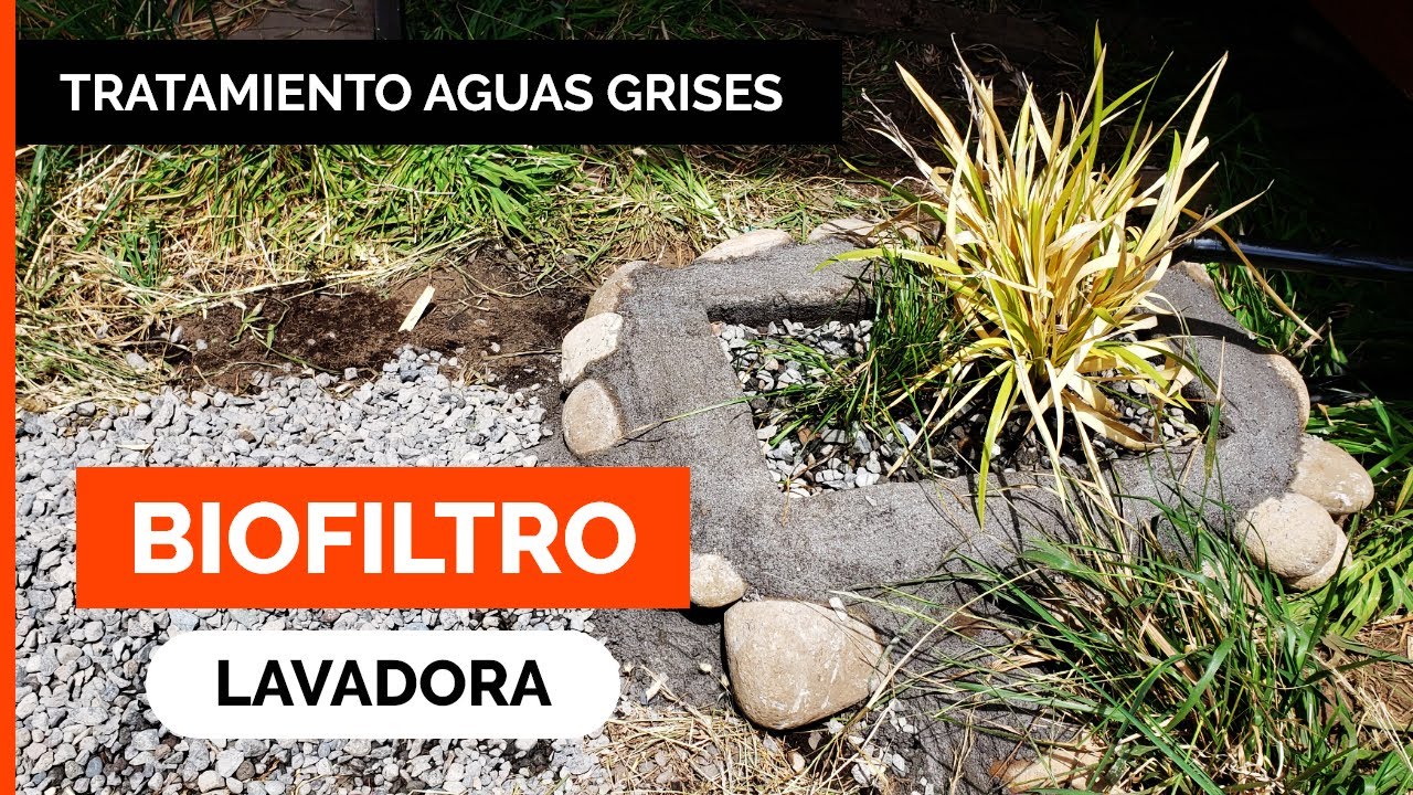 Planos De Biofiltros Caseros PLANTAS PARA TRATAMIENTO DE AGUAS