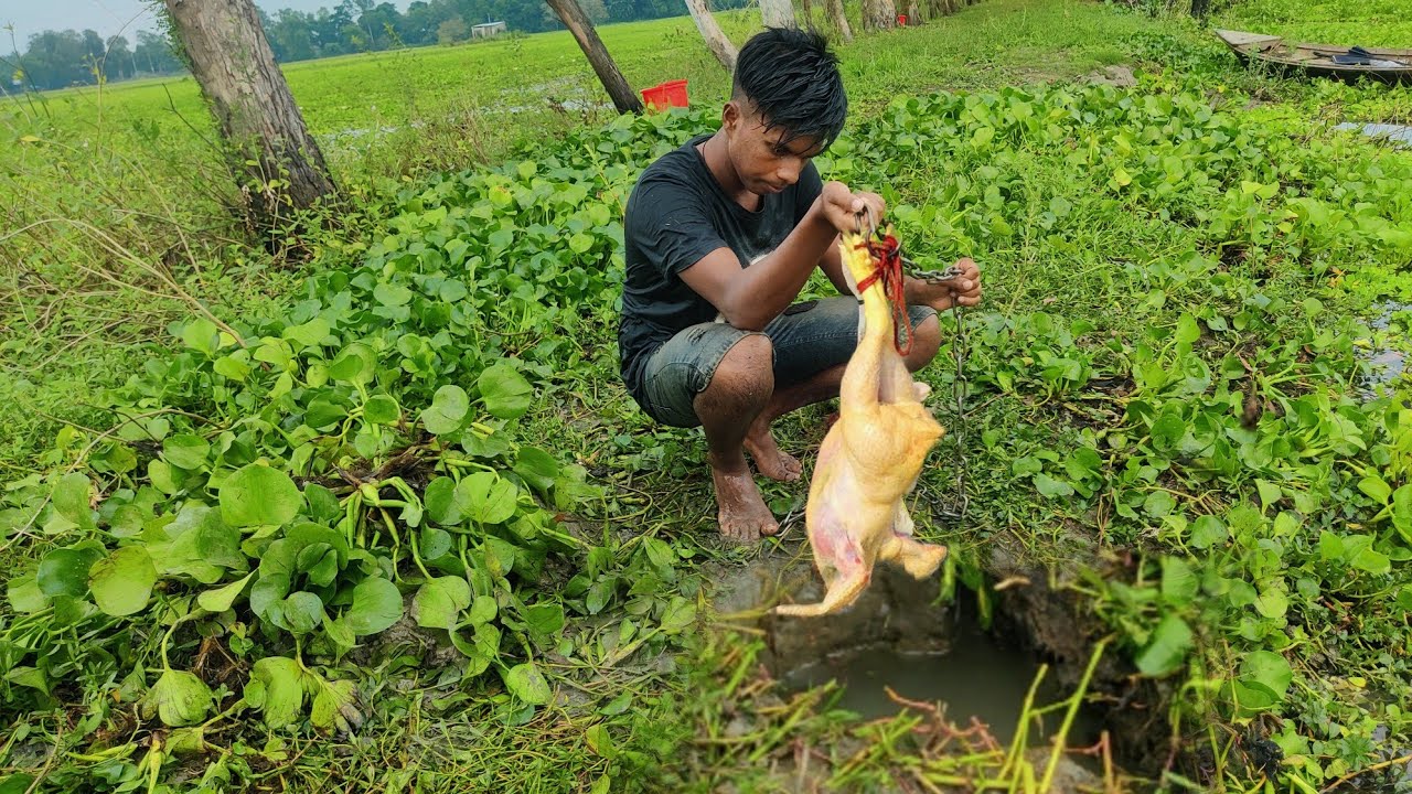 Unbelievable Uinque Fishing,8Kg Big Cat Fish Catch With A Chicken ...