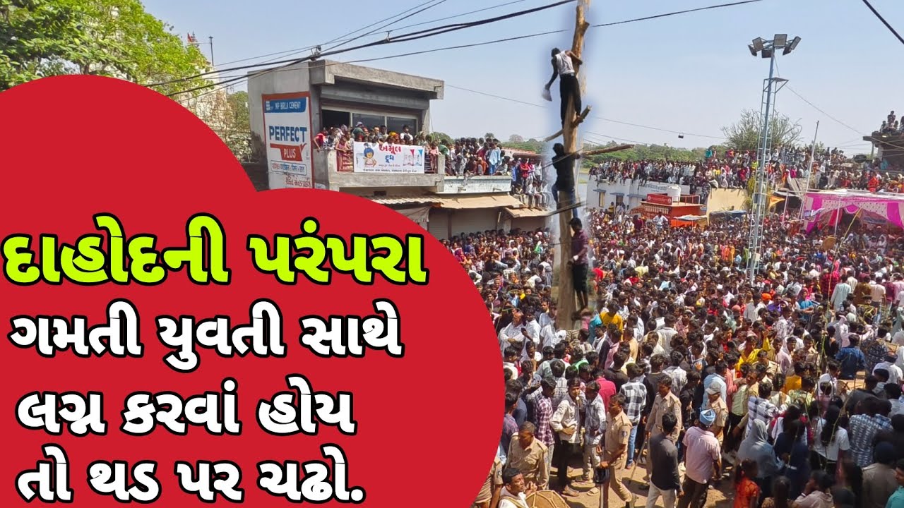 Dahod નો ગોળ ગધેડાનો એ આદિવાસી મેળો જેમાં યુવતીને પામવા યુવક 'ગધેડો ...