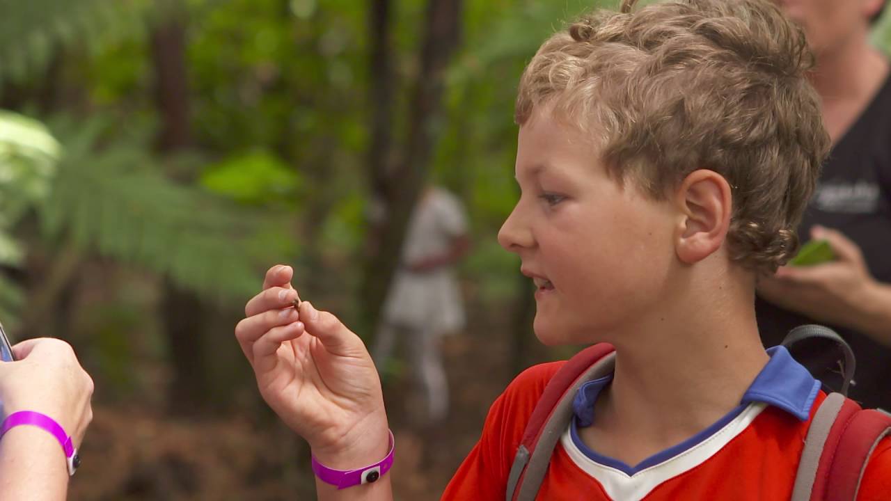 Discover Pukaha National Wildlife Centre 20 Minutes from Masterton ...