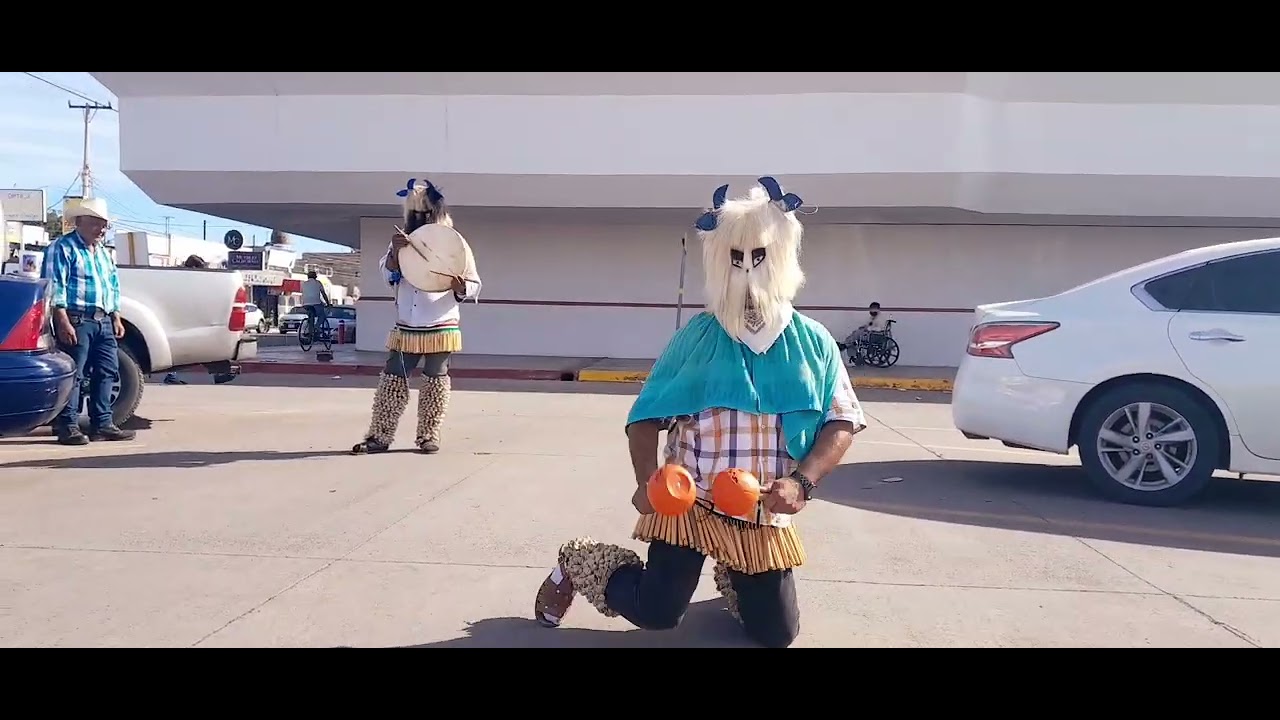 fariseo vaila danza del venado obregon sonora mexico - YouTube