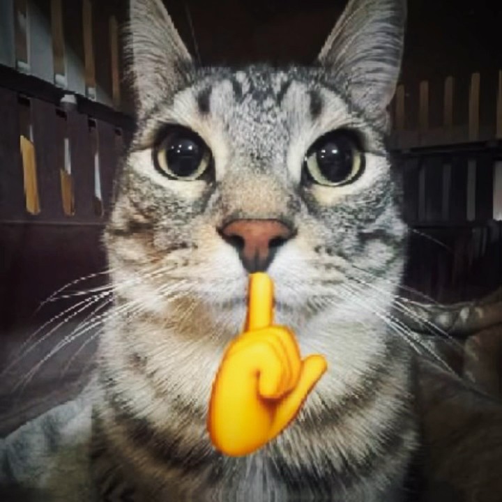 My first mewing edit 🧏‍♀️🧏‍♀️ #mewing #edge #brainrot #looksmaxxing # ...