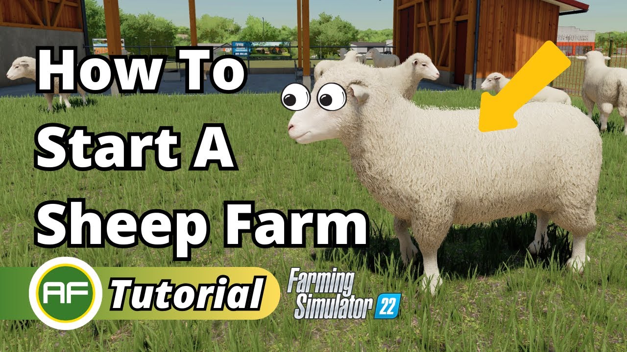 How To Start A Sheep Farm In Farming Simulator 22 Step By Step - YouTube
