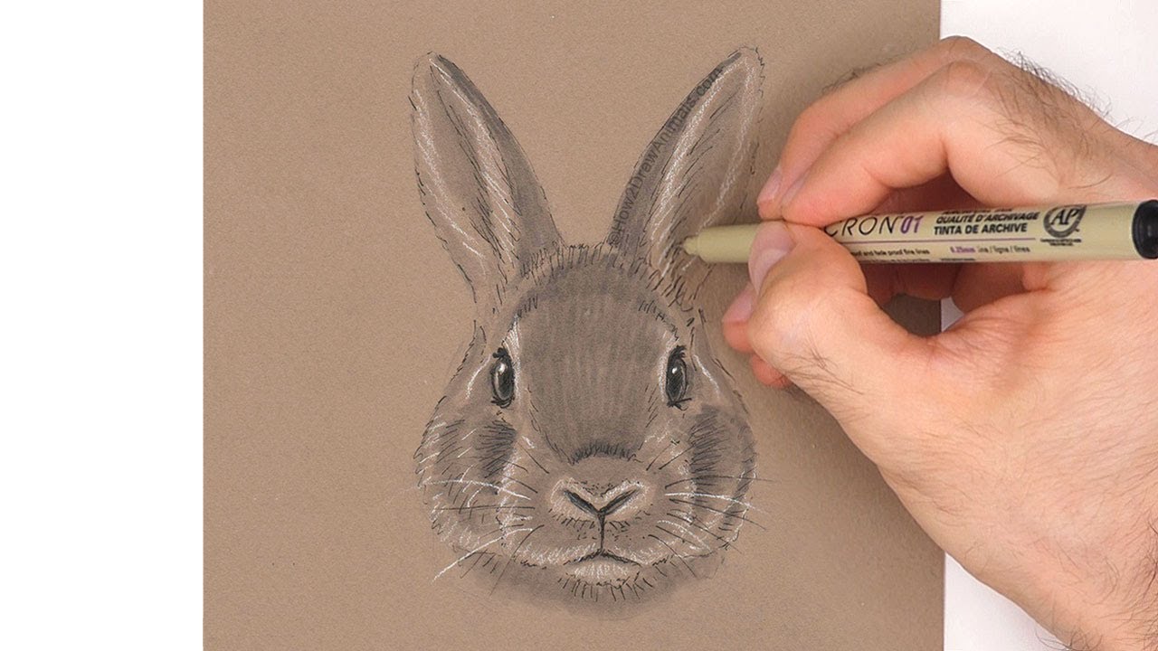 Rabbit Sketch (Pen and Markers) - YouTube
