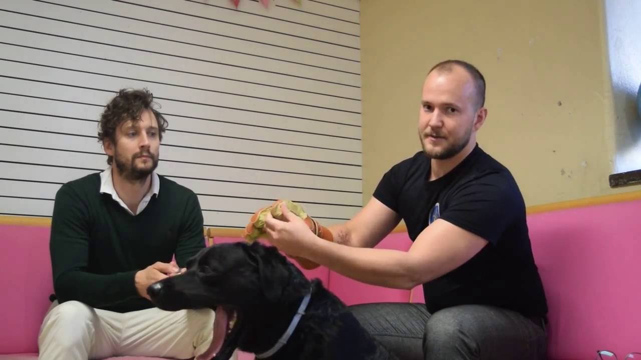 Breaking the gloves in with Axel, Anders and Milo. - YouTube