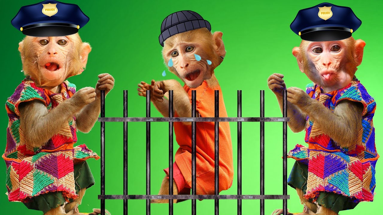 Police Help me ! | + More | Kids Songs and Nursery Rhymes | Jerry ...