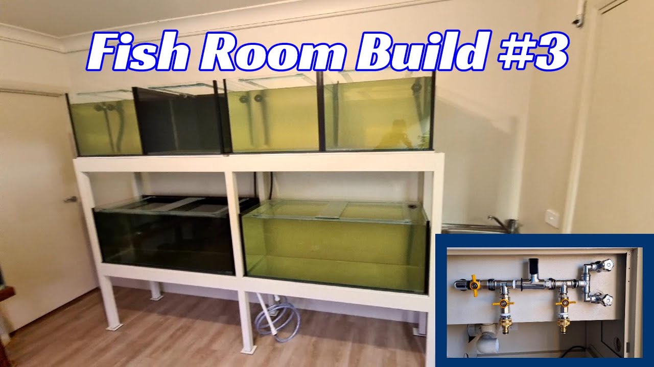 Fish Room Build #3. Awesome Water Change System. - YouTube