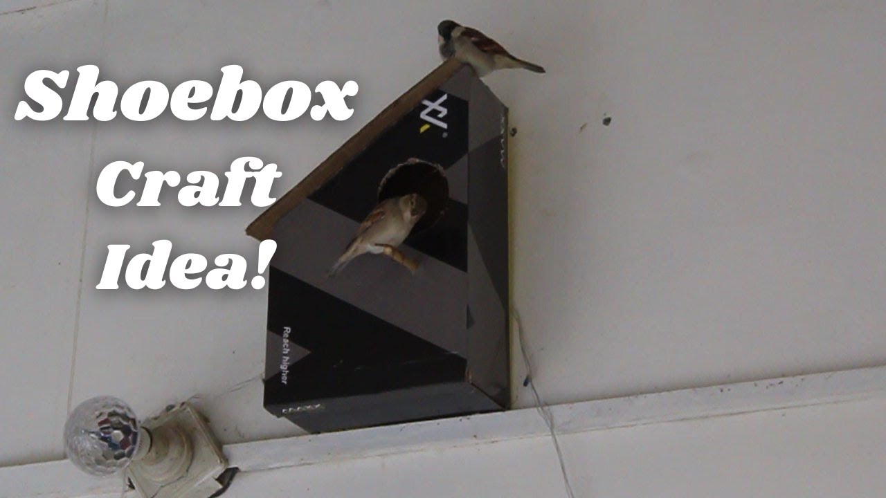 Cheapest Birdhouse With Shoe Box | How To Make Birdhouse | Shoebox ...