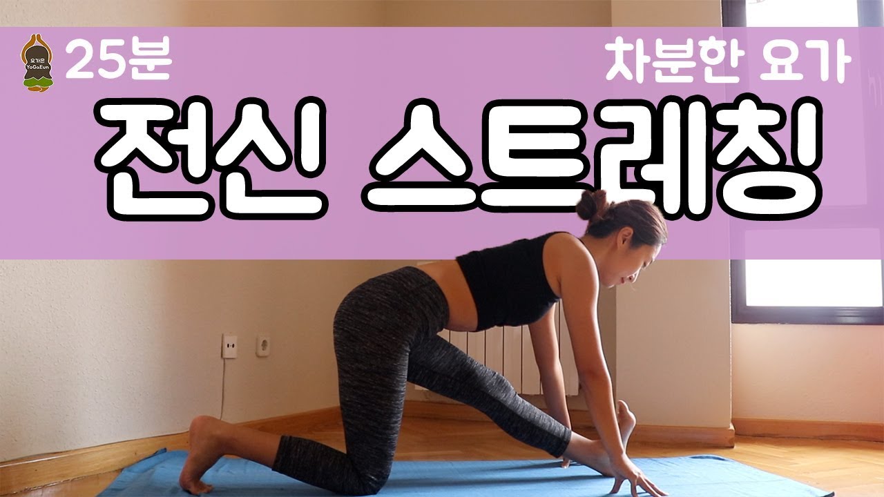 요가은 전신 스트레칭 전신운동 차분한요가 데일리스트레칭 Youtube