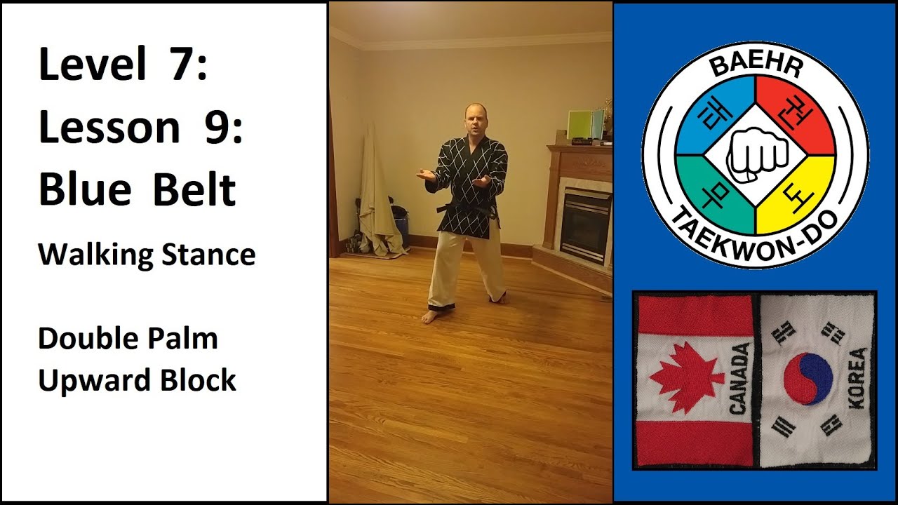 Baehr Taekwondo: Lesson 07-09: Blue Belt: Walking Stance - Double Palm ...