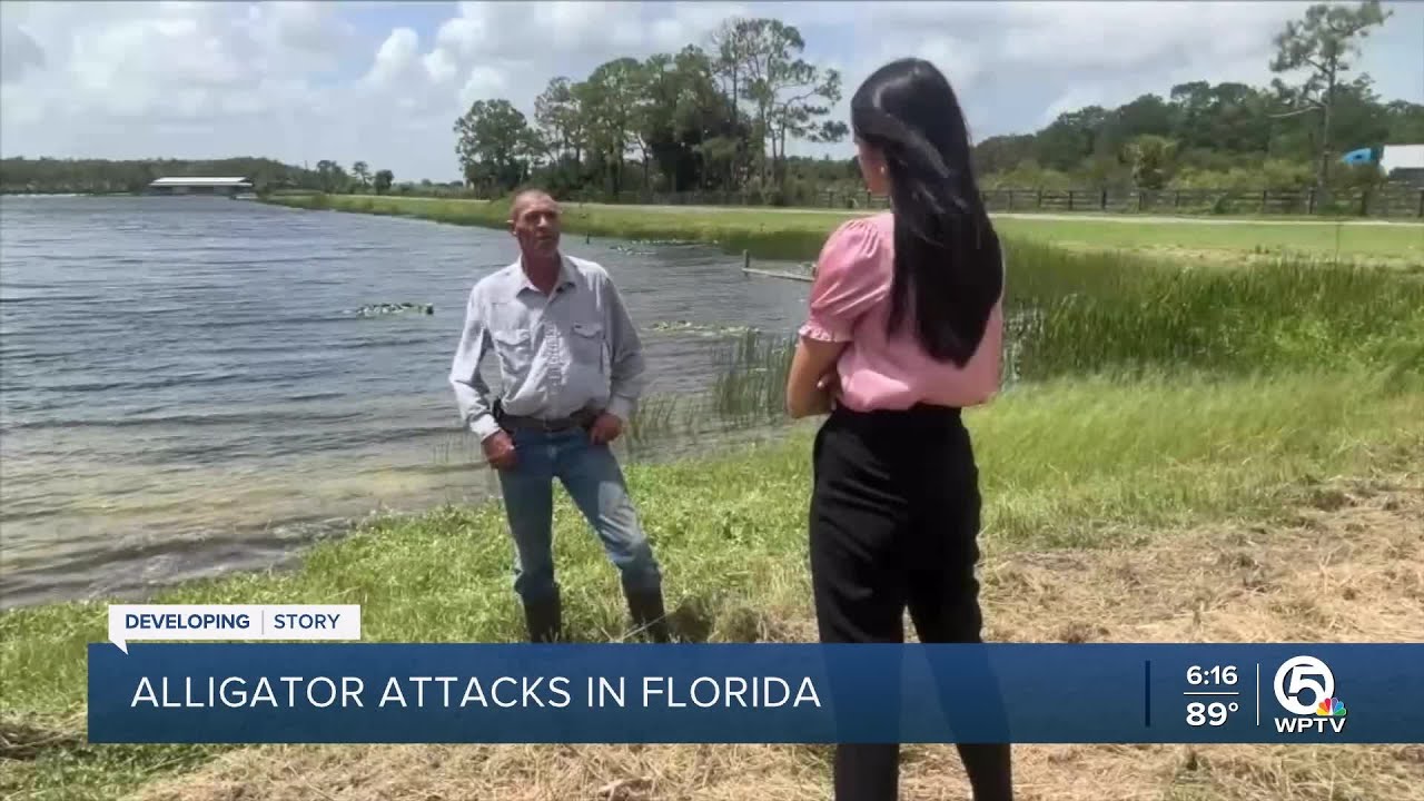 Gator trapper offers tips for staying safe - YouTube