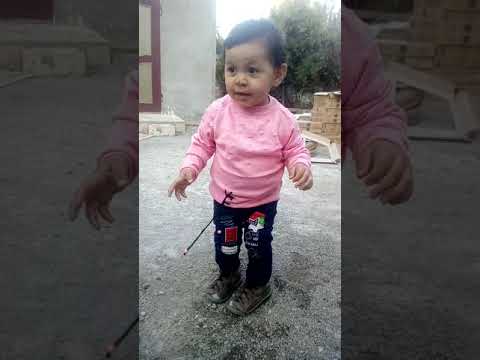 Melek balam(2)