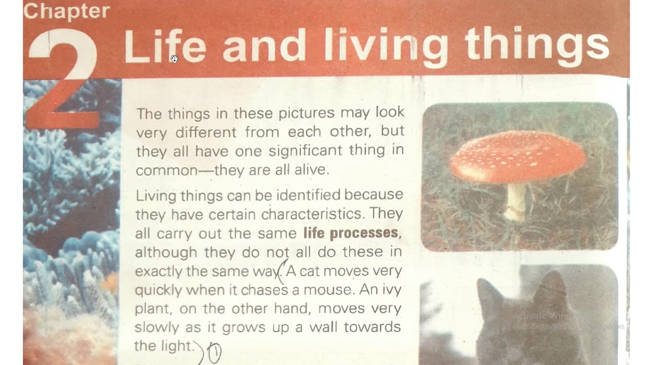 6TH SCIENCE FACT FILE CHP#2 LIFE AND LIVING THING - YouTube