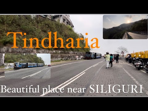 Tindharia ||A Beautiful Place Near Siliguri || Darjeeling.🖤 - YouTube
