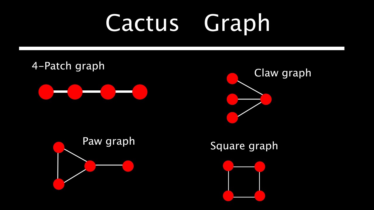 Cactus Graph - YouTube