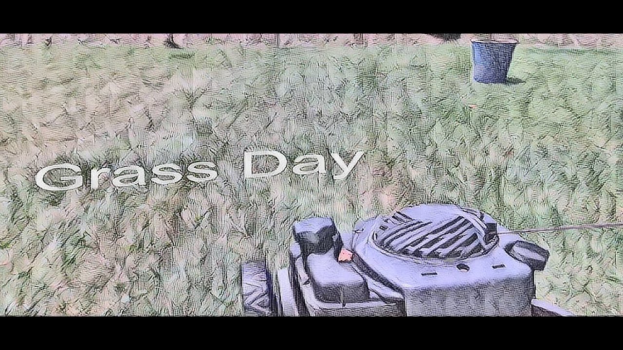 Grass Day - YouTube
