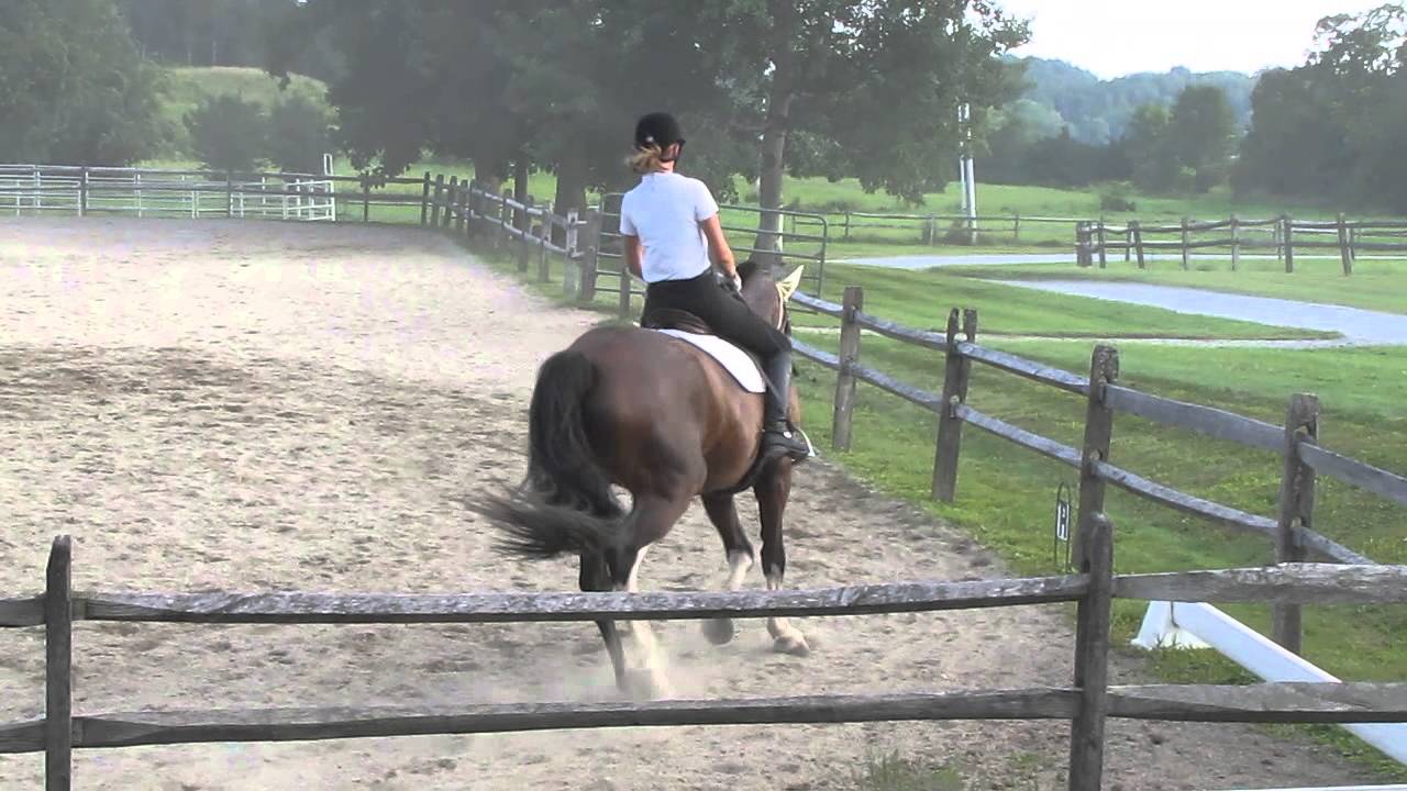#1 Turbo & Caitlin - Frank Gunther Clinic Day 2 - YouTube