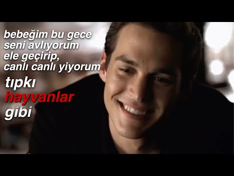 Maroon 5-Animals (Türkçe Çeviri) Kai Parker