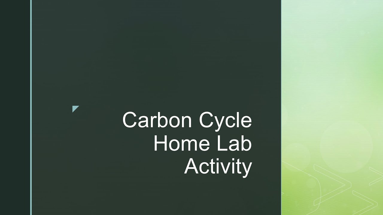 Carbon cycle lab activity - YouTube