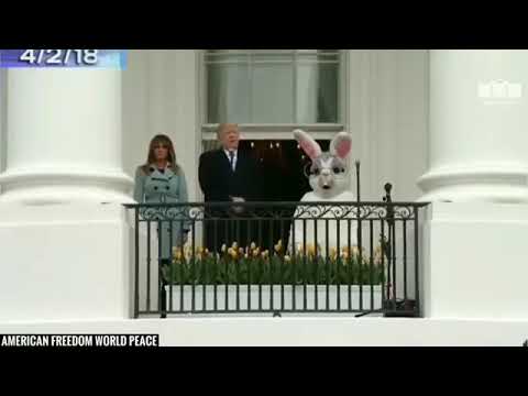 Trump Calls White House "Tippy Top Shape" - Trump & Easter Bunny ...
