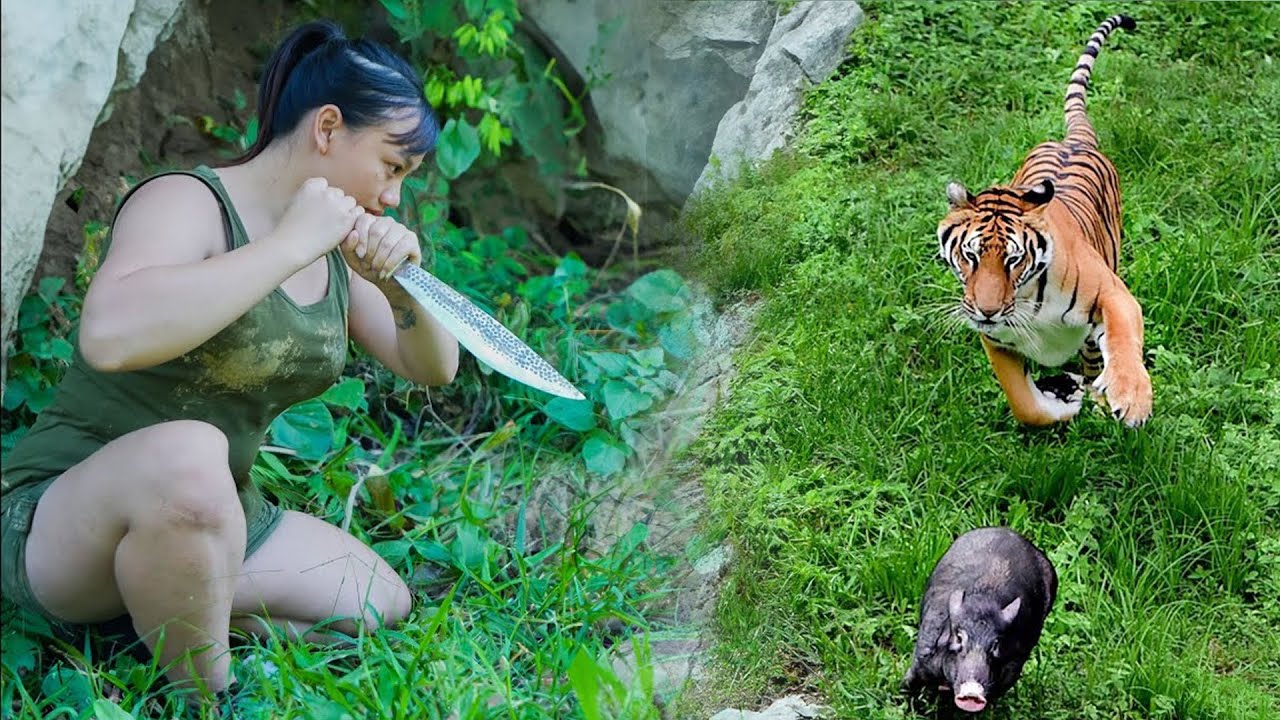 Wild Survival : Build Shelter, Make Traps To Hunt Wild Animals / Confront Tiger And Lose ...