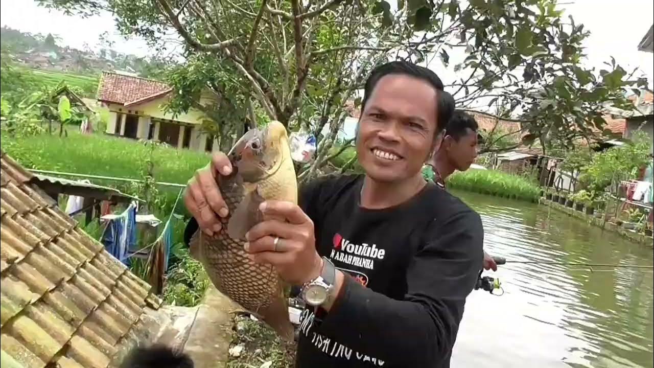 MANCING BORONGAN KOLAM GURAME DAN IKAN MAS - YouTube
