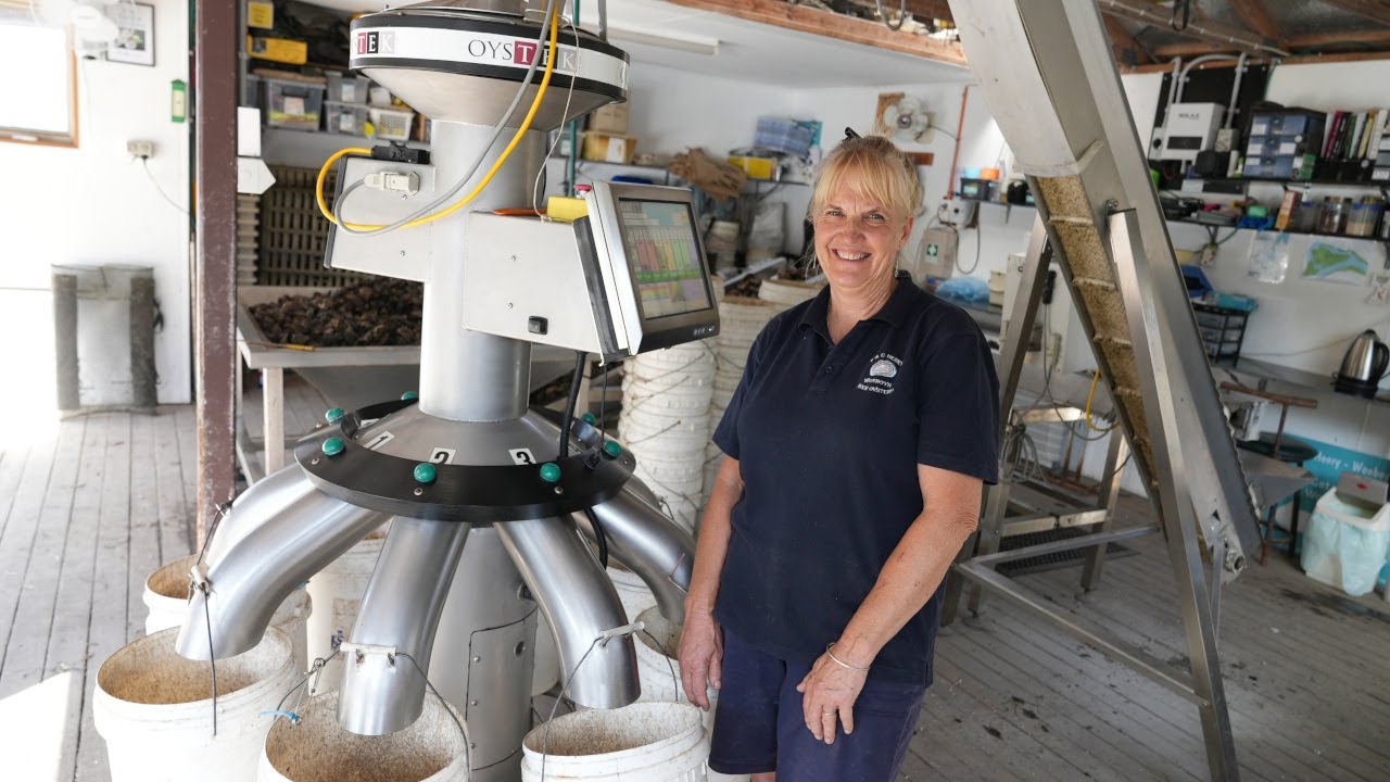 Oystek Case Study - Carolyn Henry - YouTube