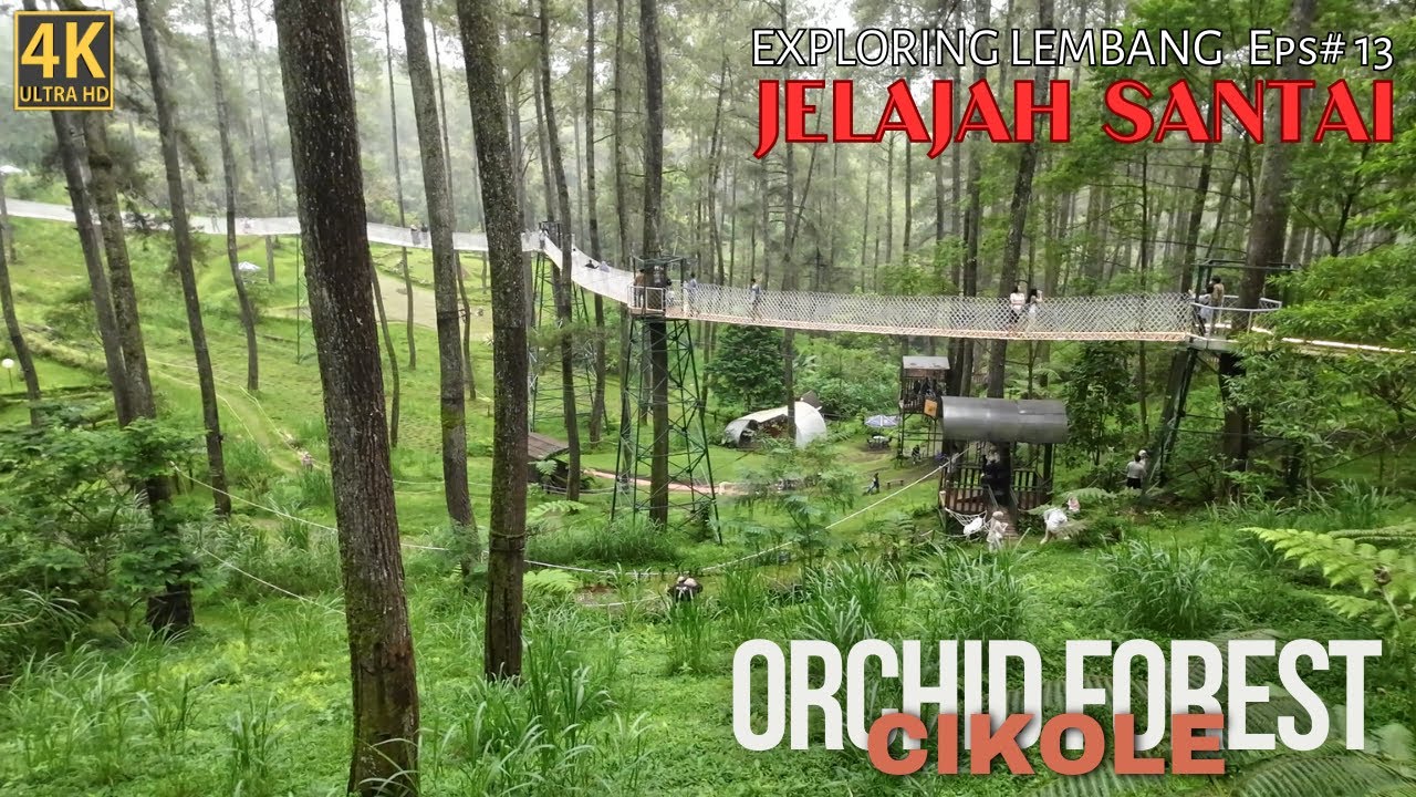 ORCHID FOREST - CIKOLE - LEMBANG | Jelajah Santai | Exploring Lembang ...