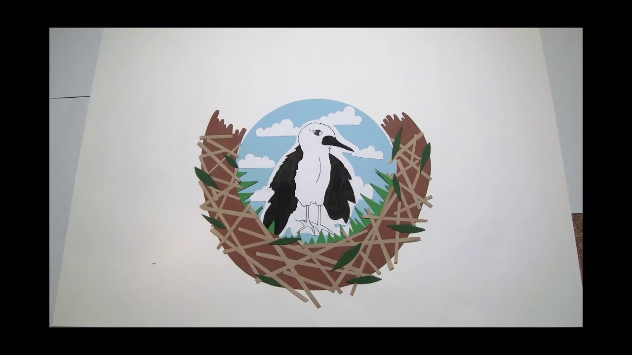 Anorak presentation - Collect- Aimee Jarvis - YouTube