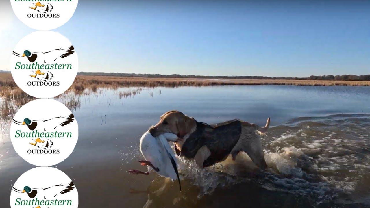 Arkansas Waterfowl Hunting - 🦆 Popa Duck Lodge - St Charles, AR 12/10 ...