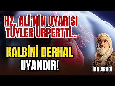 Hazreti Ali Uyarıyor: Gerçek Bilgelik Kitapta Değil,Kalpte Saklı - İbn Arabi’nin Yorumu