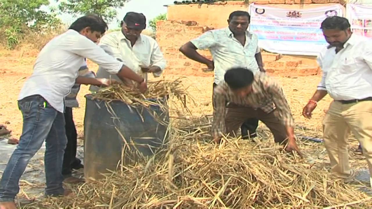 Dry Fodder Enrichment in Dairy Farming- Bidar - YouTube