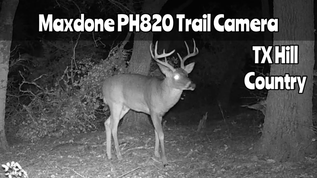 TX Hill Country Cam: MaxDone PH820 Trail Camera Nov. 2-16, 2023 - YouTube