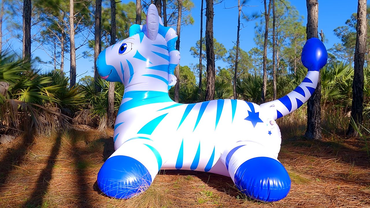 Star the Zebra Ride-On Inflatable Bouncer from Horseplay Toys - YouTube